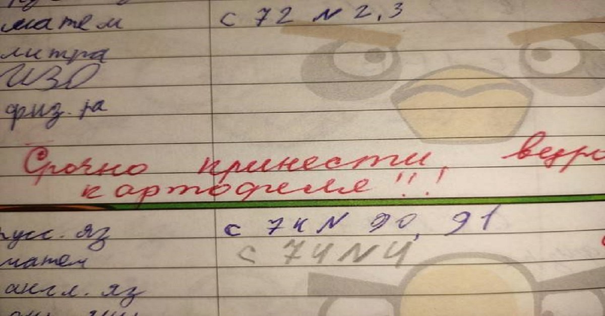 12 записей в школьных дневниках, напоминающих, какое это веселое время ...